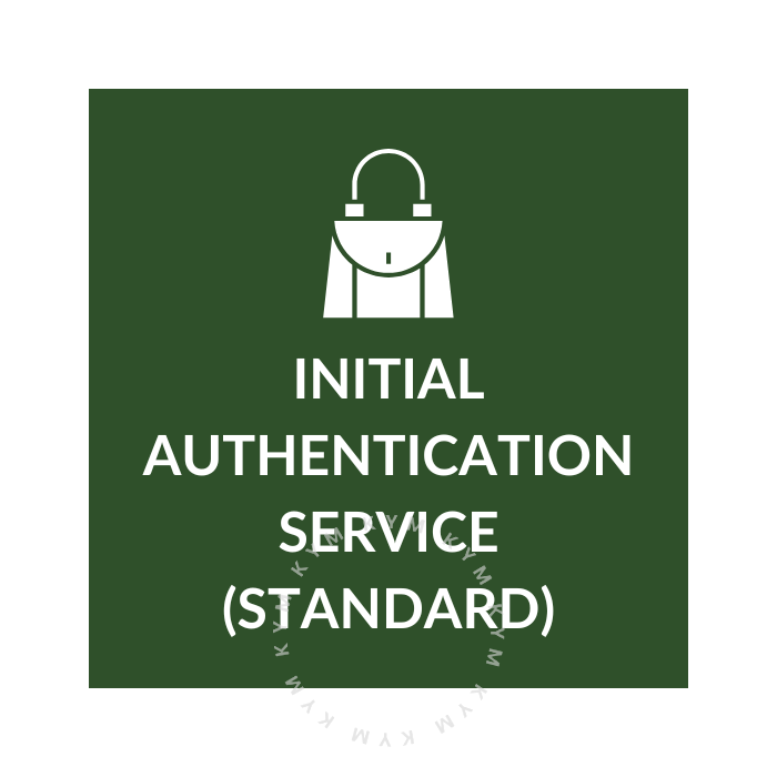 Authentication Service - Initial Evaluation